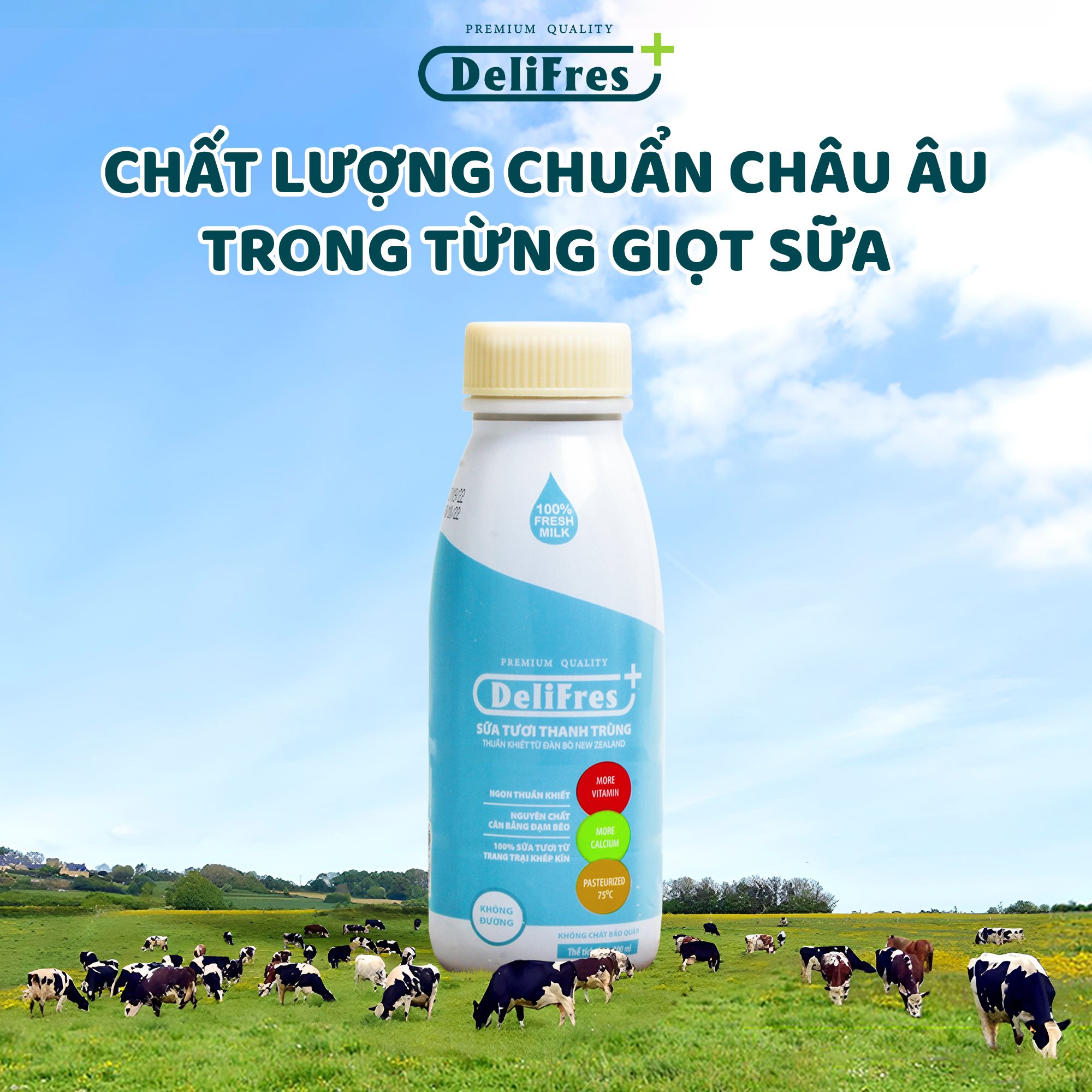 Sữa Tươi Thanh Trùng: Giải Pháp An Toàn và Bổ Dưỡng - DeliFres+